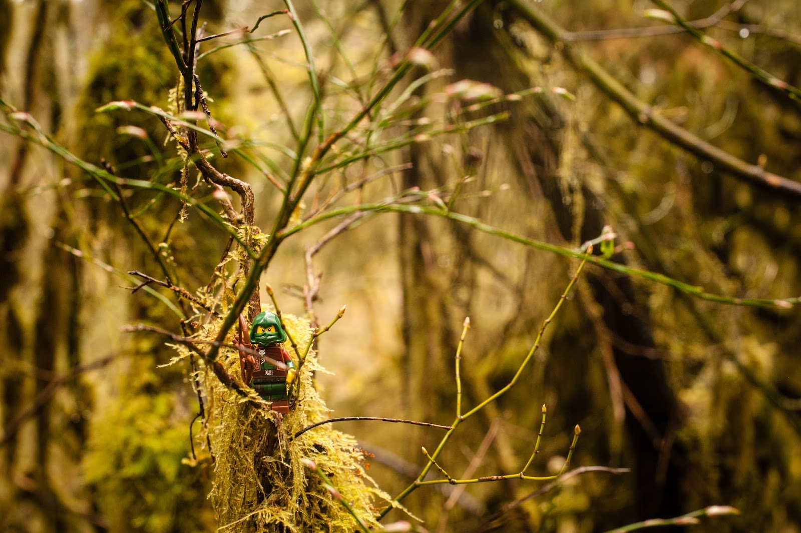 lego tree - Marcus Purvis